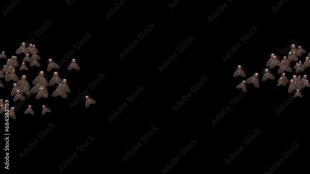 Vidéo Stock Fly emoji, Insect emoticon, Bug symbol, Emoji of a fly ...