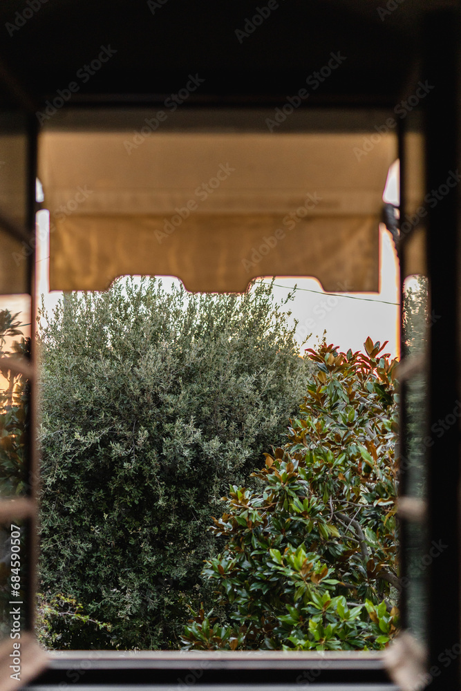 Beautiful view from the window of an old mansion to the greenery of the ...