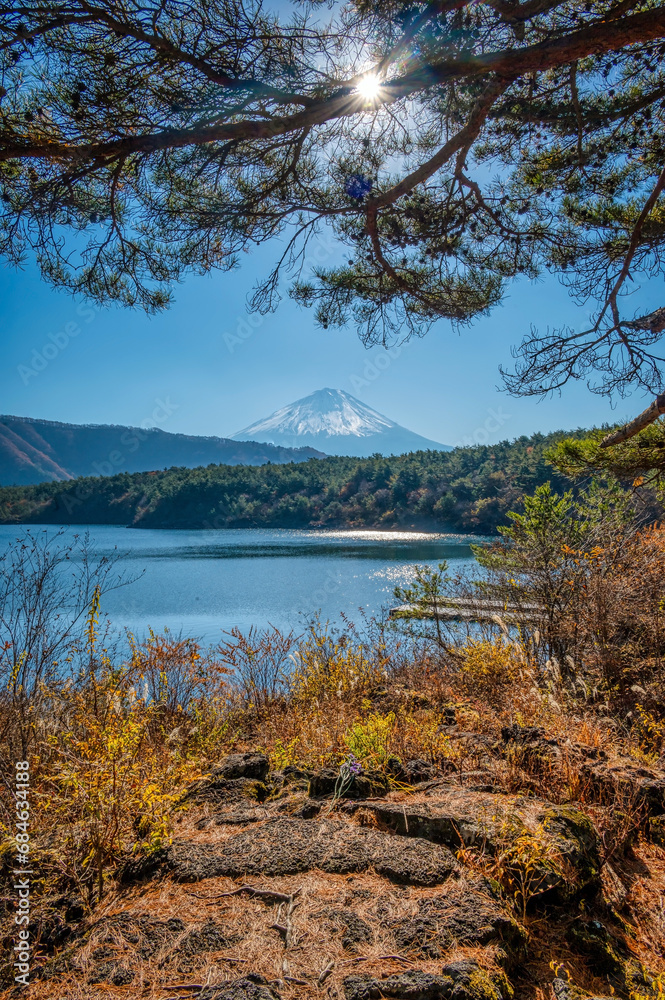 Autumn foliage at the Fuji Five lakes area of Yamanashi prefecture ...