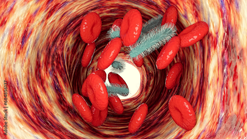 Blood flow, vein and red blood cells and presence of sepsis. It is a ...