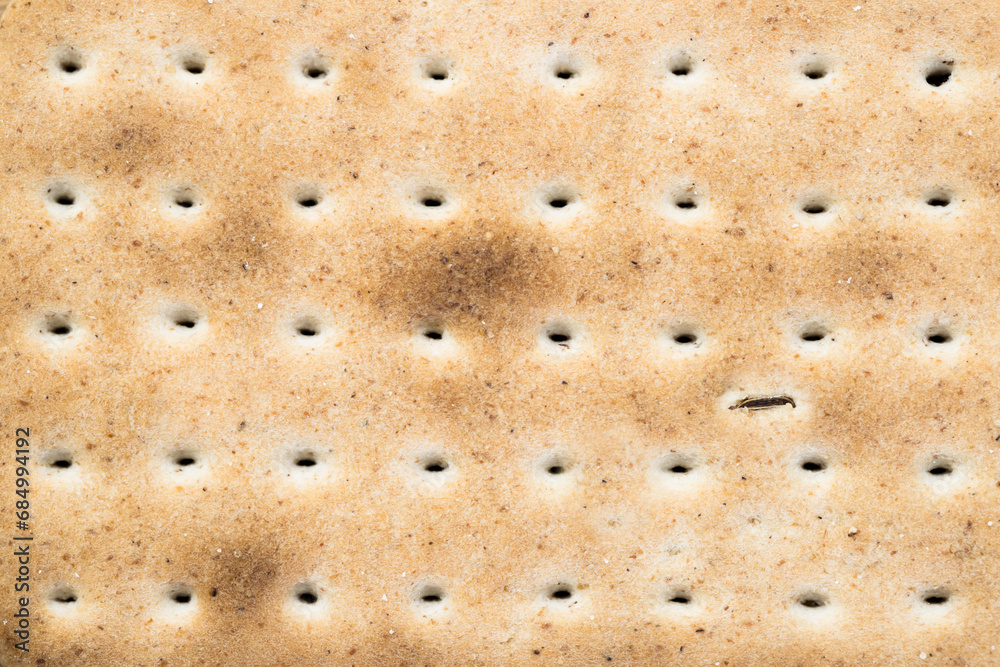 seen closely, the perforated structure of a military biscuit, a long ...