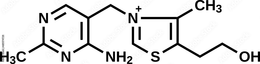 Thiamine structural formula, vitamin B1 vector illustration Stock ...