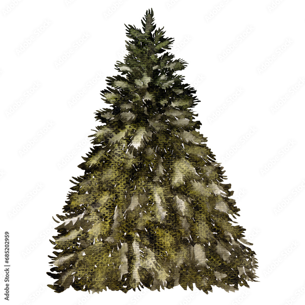 Watercolor Christmas tree, isolated on transparent background, PNG ...