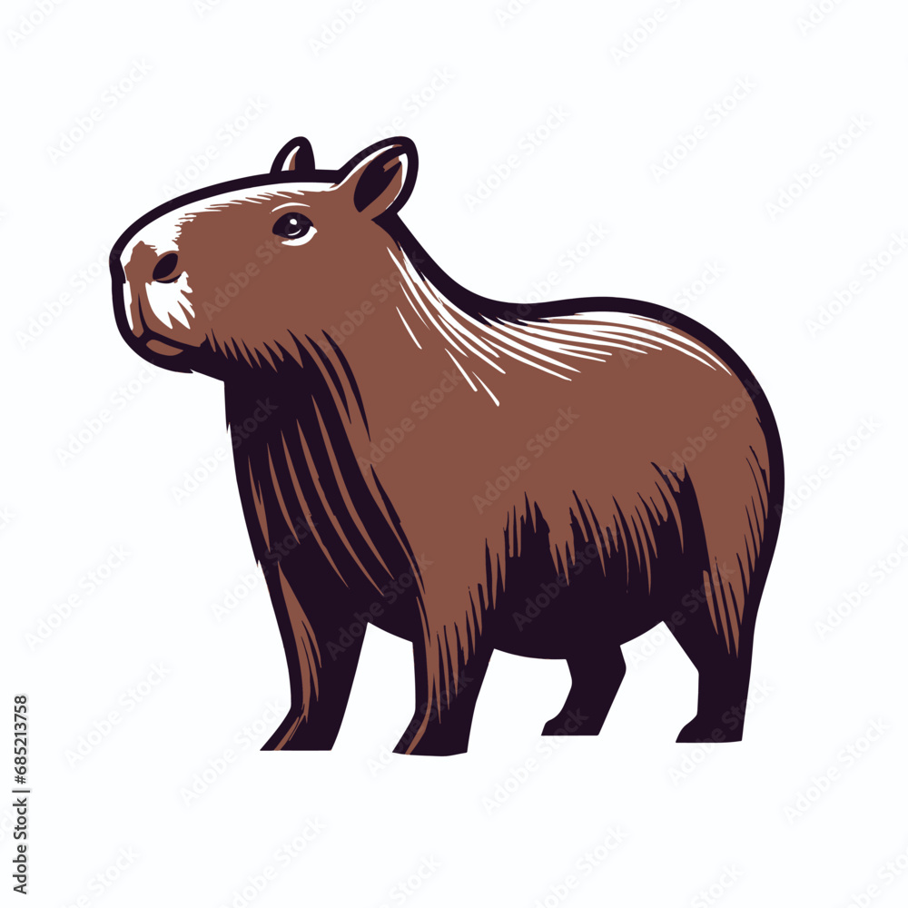 photos of the capybara or greater capybara, the largest living rodent, capybara illustrations ...