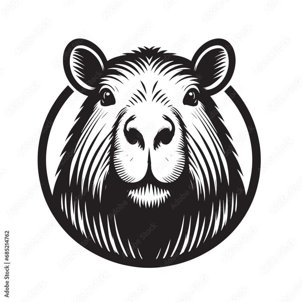 photos of the capybara or greater capybara, the largest living rodent, capybara illustrations ...