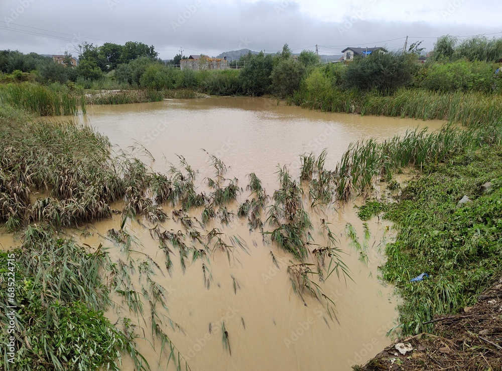 Flooding after heavy rain. Dirty brown water flooded the lowlands in ...