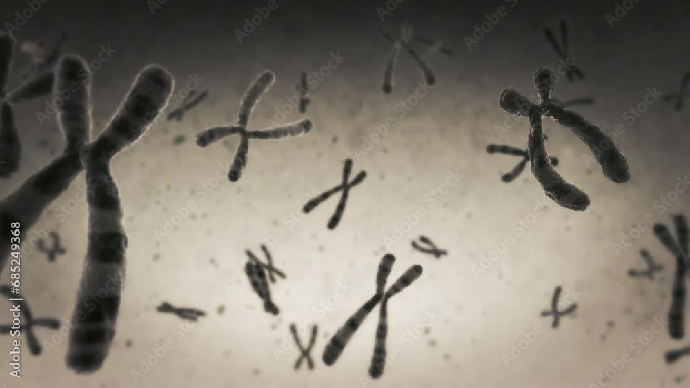 DNA Molecules Organized in Structures. Animation of Human Chromosomes ...