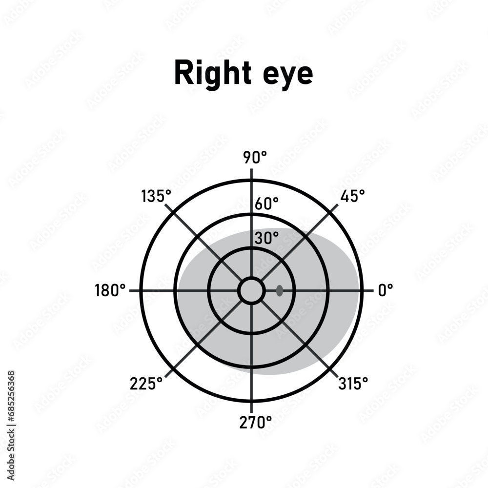 The visual field of the left and right eye. Binocular fusion and depth ...