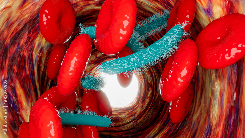 Blood flow, vein and red blood cells and presence of sepsis. It is a ...