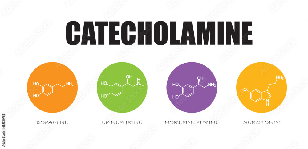 monoamine neurotransmitters types, formulas on bubbles, structures ...