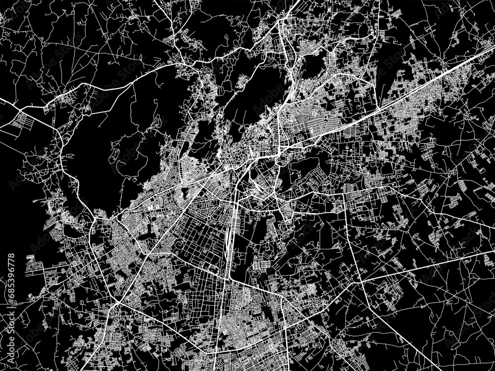 Vector road map of the city of Jodhpur in the Republic of India with ...