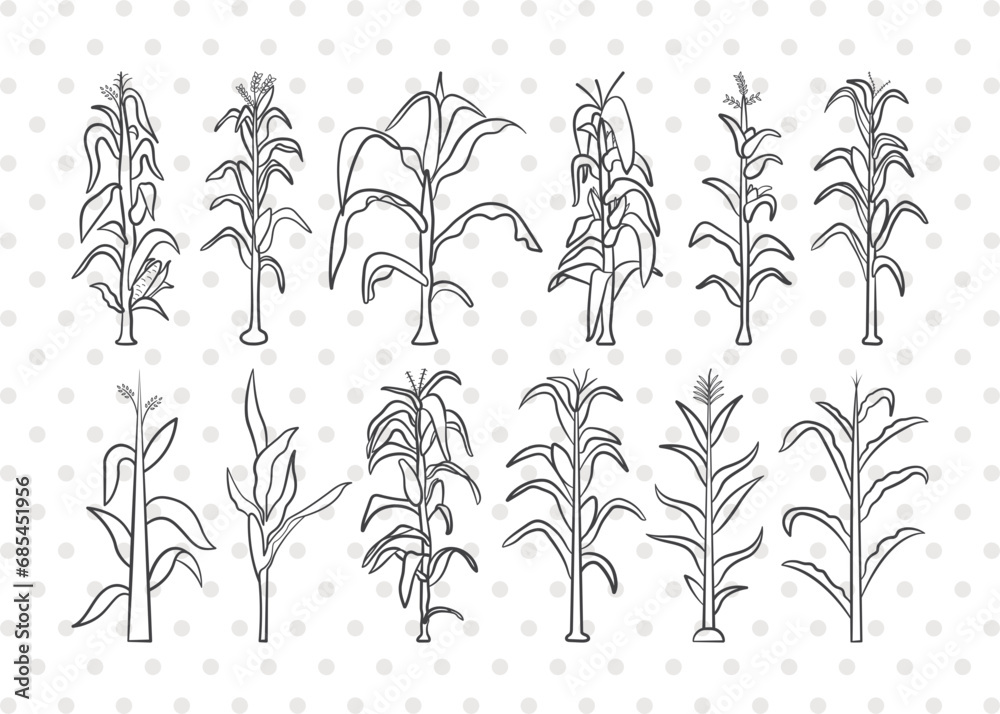 Vetor de corn stalk svg, corn stalk clipart, corn tree svg, corn svg ...