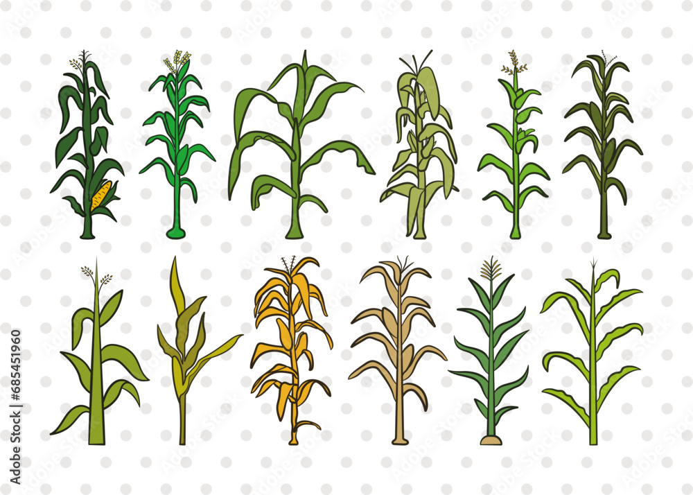 corn stalk svg, corn stalk clipart, corn tree svg, corn svg, corn stalk ...