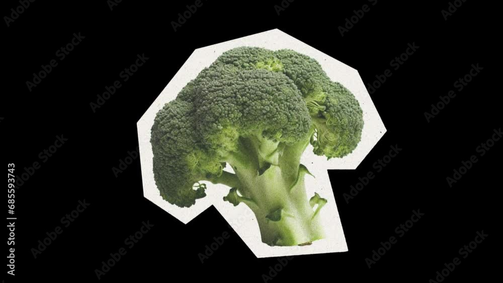 broccoli element for collage animation, Montage, paper cut motion ...