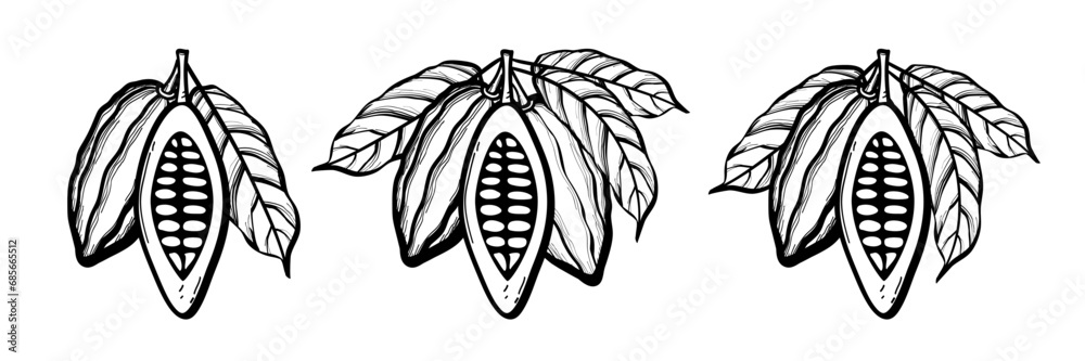 Set of three hand drawn black outline cocoa beans with leaves on a ...