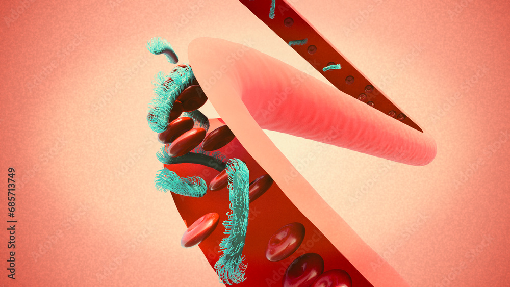 Blood flow, vein and red blood cells and presence of sepsis. It is a ...