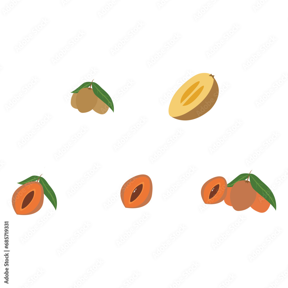 chiku, sapodilla, vector, sapote, fruit, icon, illustration, background ...