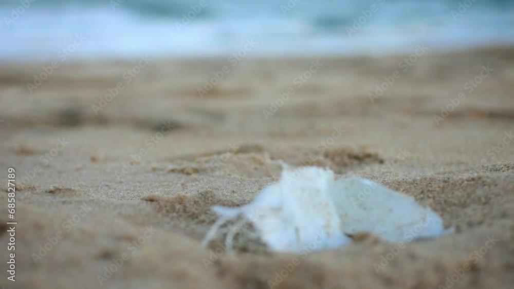 White Plastic Bag or Wrapper in the Sand at the Beach with Ocean Waves ...