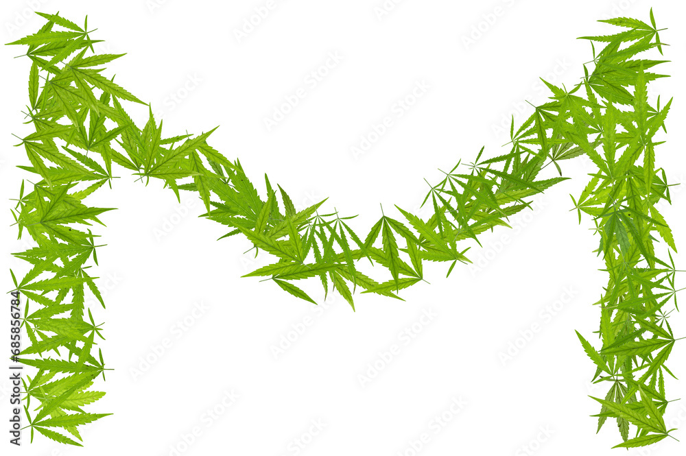 Letter "M" isolated on a transparent background. Design font hemp ...