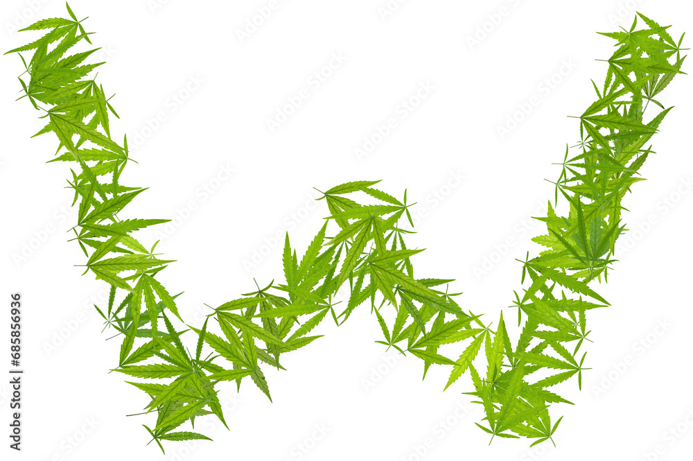 Letter "W" isolated on a transparent background. Design font hemp ...