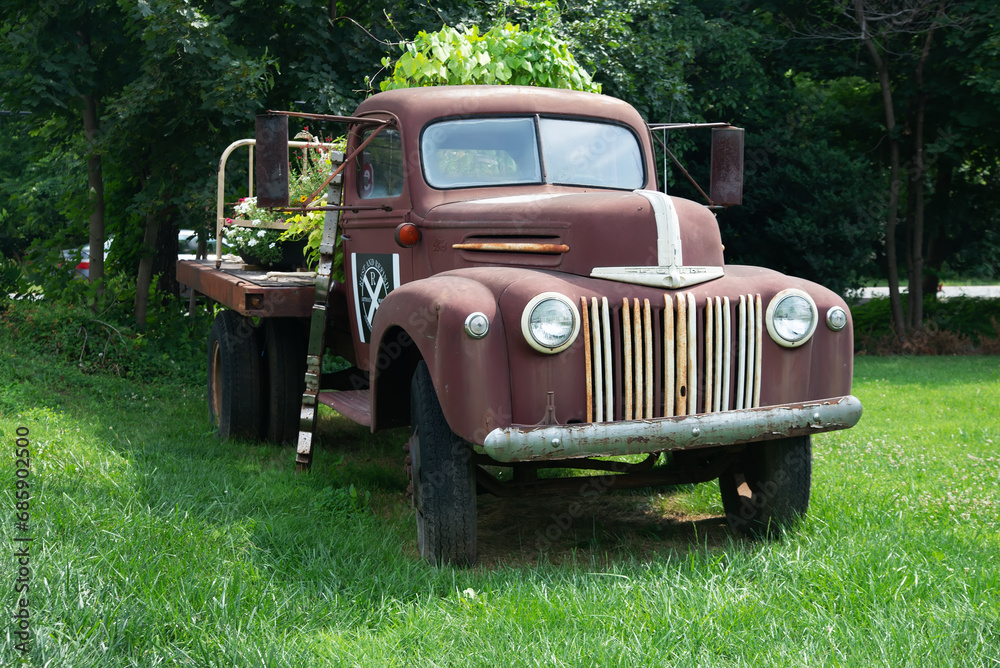 vintage pickup truck from the 50s, a Ford F100, sits on the lawn ...