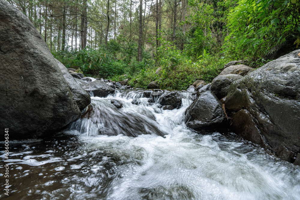 The water flow in the forest flows fast between large rocks Stock Photo | Adobe Stock