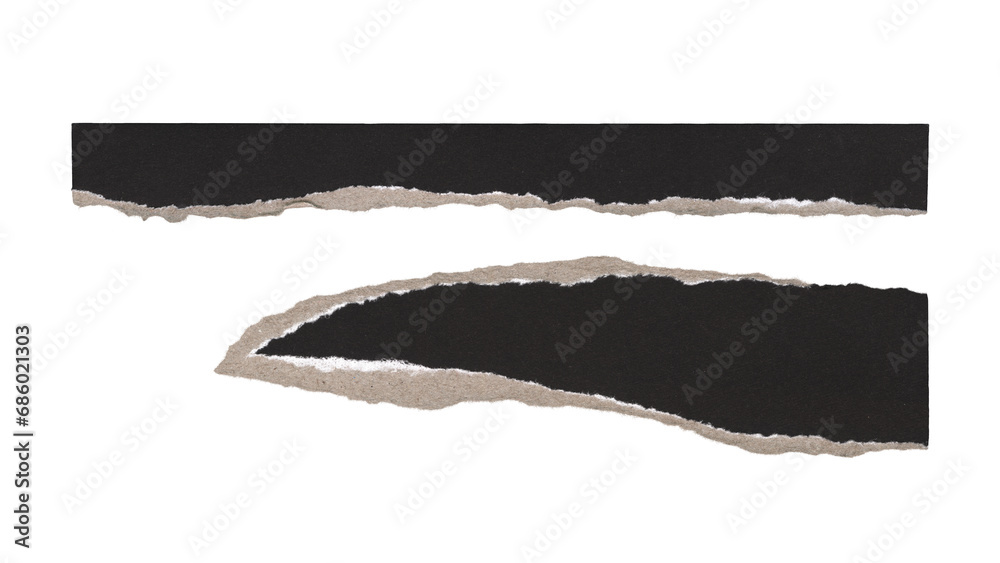 Set of torn and ripped paper stripes, lines with double edges from ...