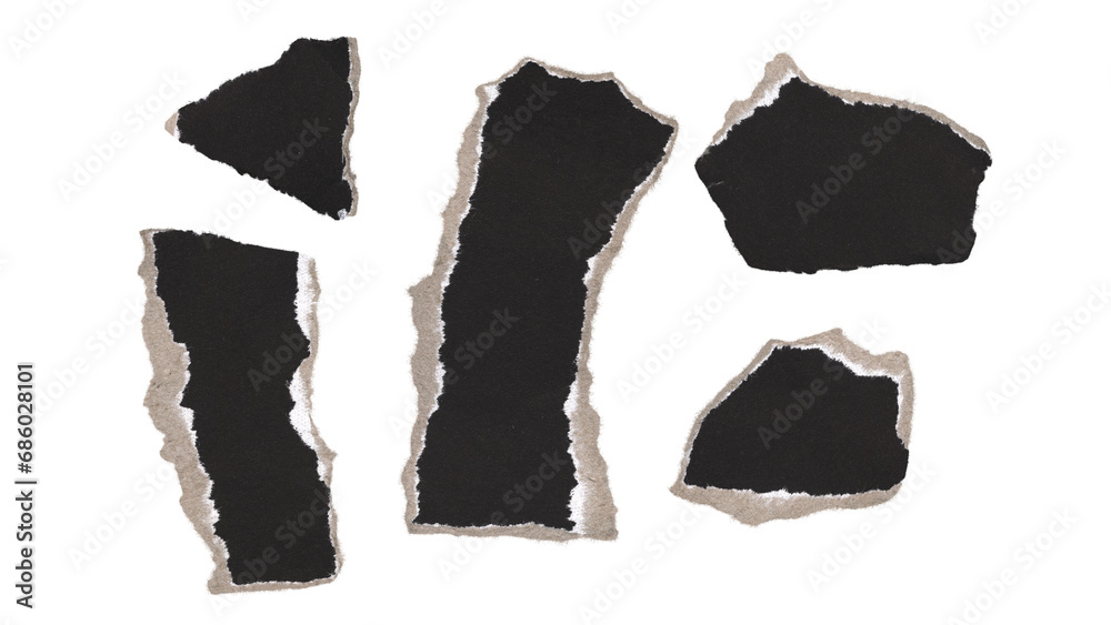 Set of torn and ripped paper pieces, fragments with double edges from ...