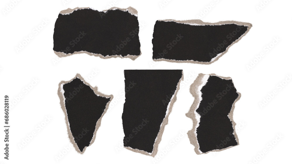Set of torn and ripped paper pieces, fragments with double edges from ...