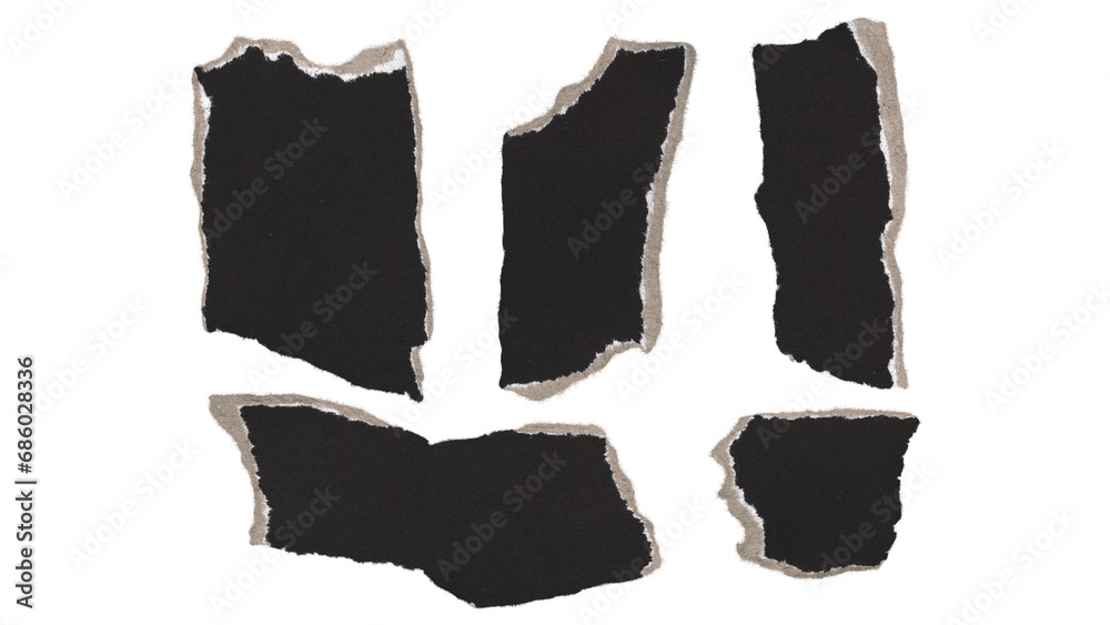 Set of torn and ripped paper pieces, fragments with double edges from ...