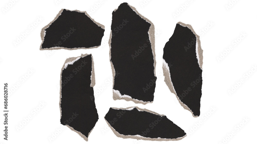 Set of torn and ripped paper pieces, fragments with double edges from ...