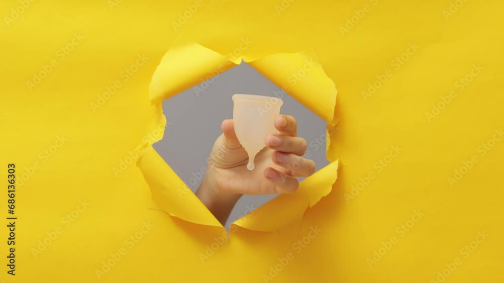 Eco-friendly menstrual alternative. Sanitary hygiene solution. Clean ...