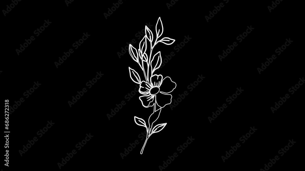 leaf and flower drawing animation line drawing animation with leaf and ...
