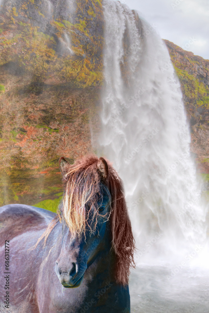 Amazing Seljalandsfoss waterfall in Iceland - The Icelandic red horse ...