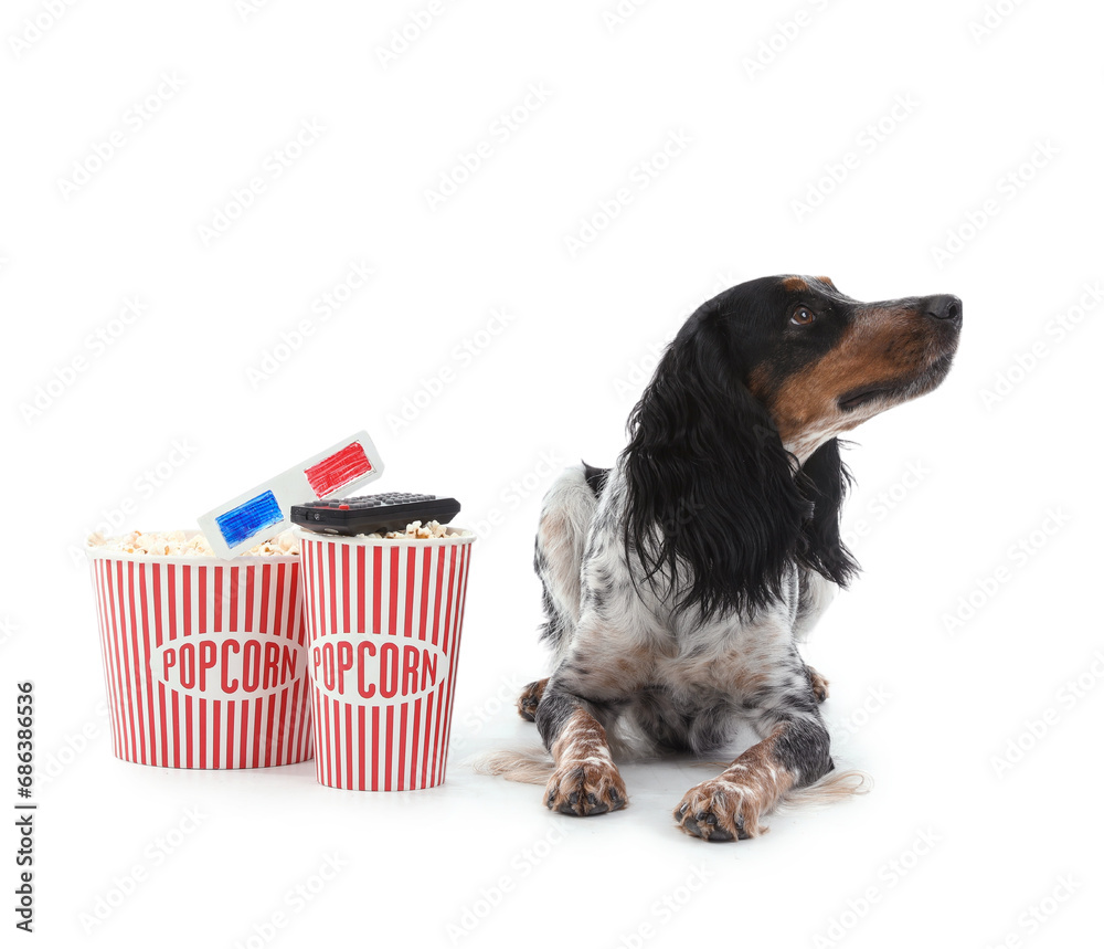 Cute cocker spaniel dog with buckets of popcorn, 3D cinema glasses and TV remote lying on white ...