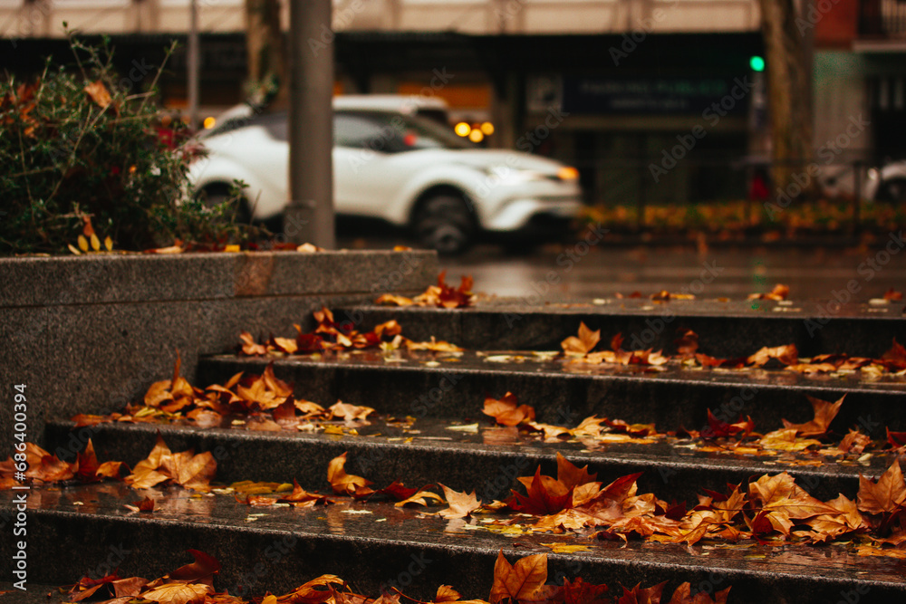 Concrete stone steps in a city fall park near a driveway, road with car ...
