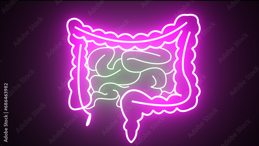 Purple neon anatomy of the human digestive system. Anatomy of the human ...