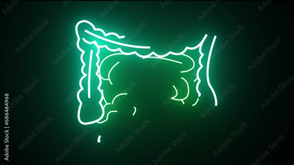 Blue neon anatomy of the human digestive system. Anatomy of the human ...