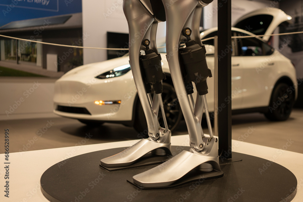 Tigard, OR, USA - Nov 30, 2023: Closeup of the legs and feet of the ...