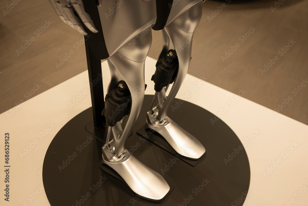 Tigard, OR, USA - Nov 30, 2023: Closeup of the legs and feet of the ...