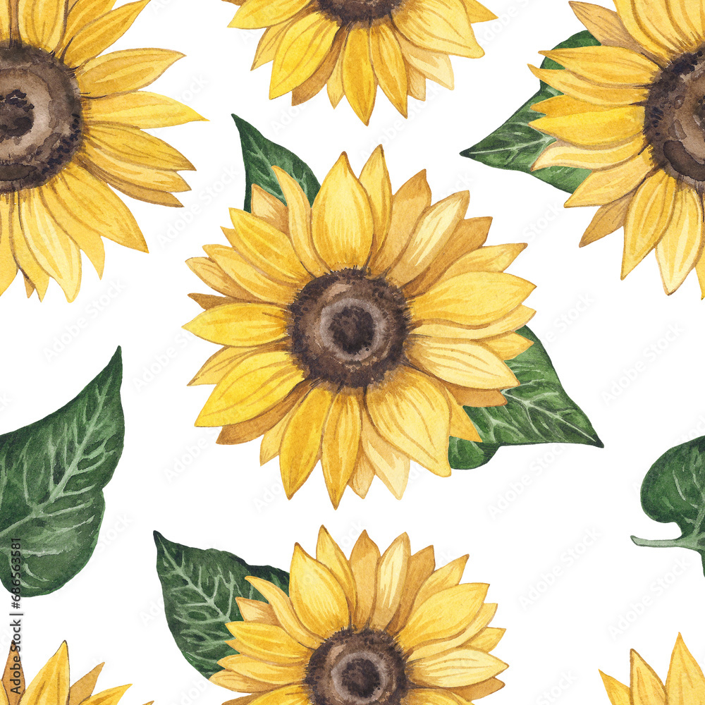 Watercolor seamless pattern with sunflowers and leaves on a white ...