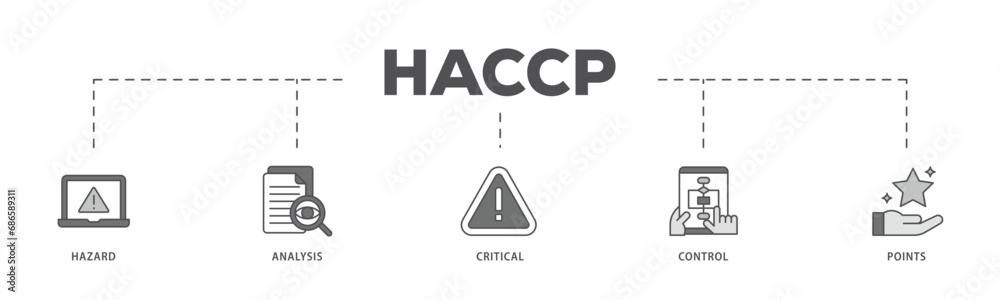 HACCP infographic icon flow process which consists of hazard analysis ...