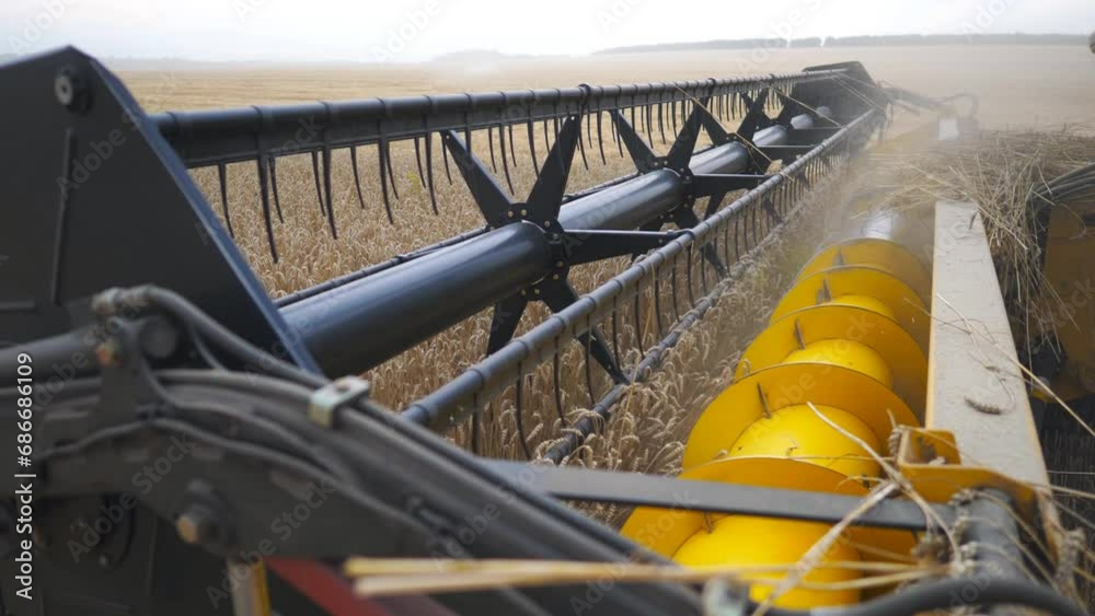 Close up knife of combine spinning and cutting ears of wheat. Harvester ...