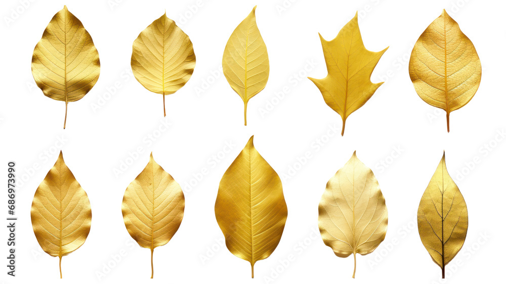 Set of images of luxurious golden leaves isolated on white background ...