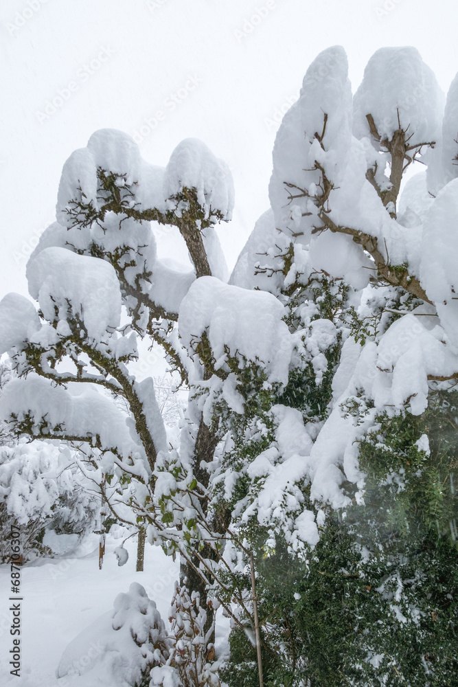 Tief verschneiter Garten im Winterm starker Schneefall, Schneebruch ...