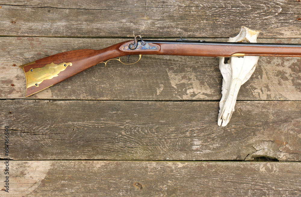 Black Powder Long Rifle Kentucky leaning on the animal skull on an old ...
