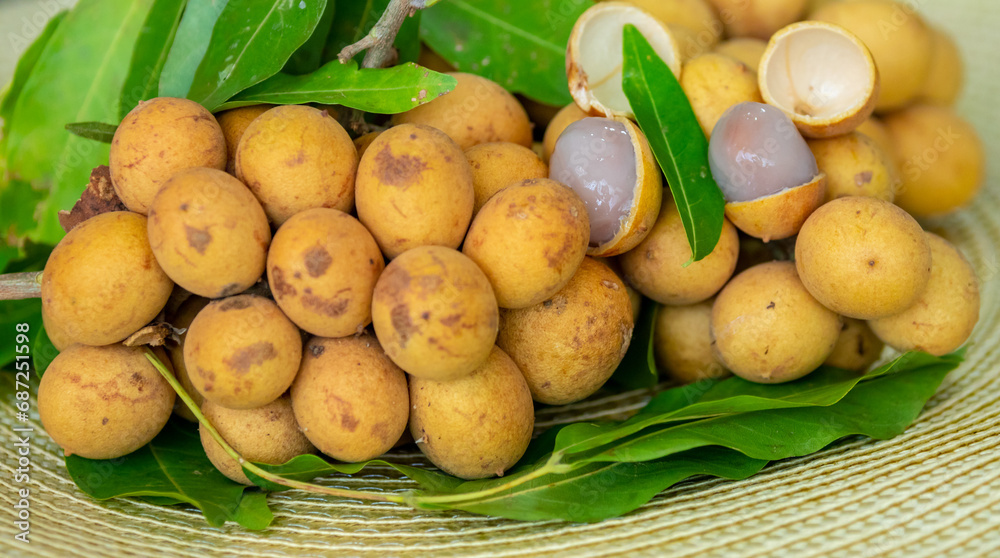 Ripe Pitomba fruits (talisia esculenta), an exotic fruit from the ...