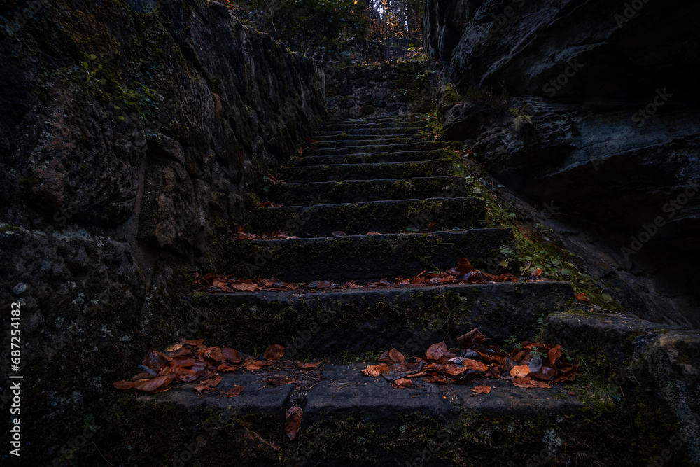 Ancient stone stairs hidden in deep forest in the north Bohemia. Path ...