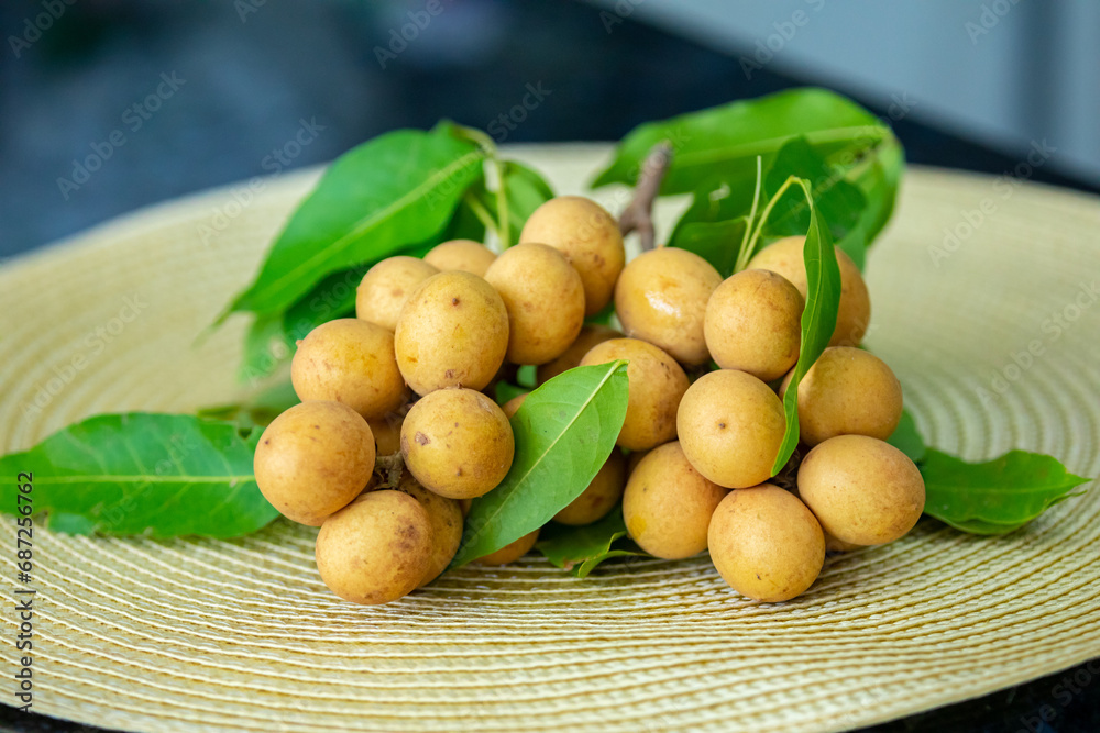 Ripe Pitomba fruits (talisia esculenta), an exotic fruit from the ...