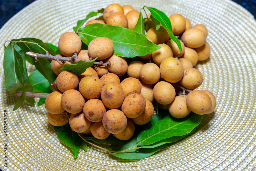 Ripe Pitomba fruits (talisia esculenta), an exotic fruit from the ...